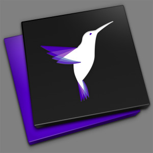 Flixel Cinemagraph Pro – The Sajin